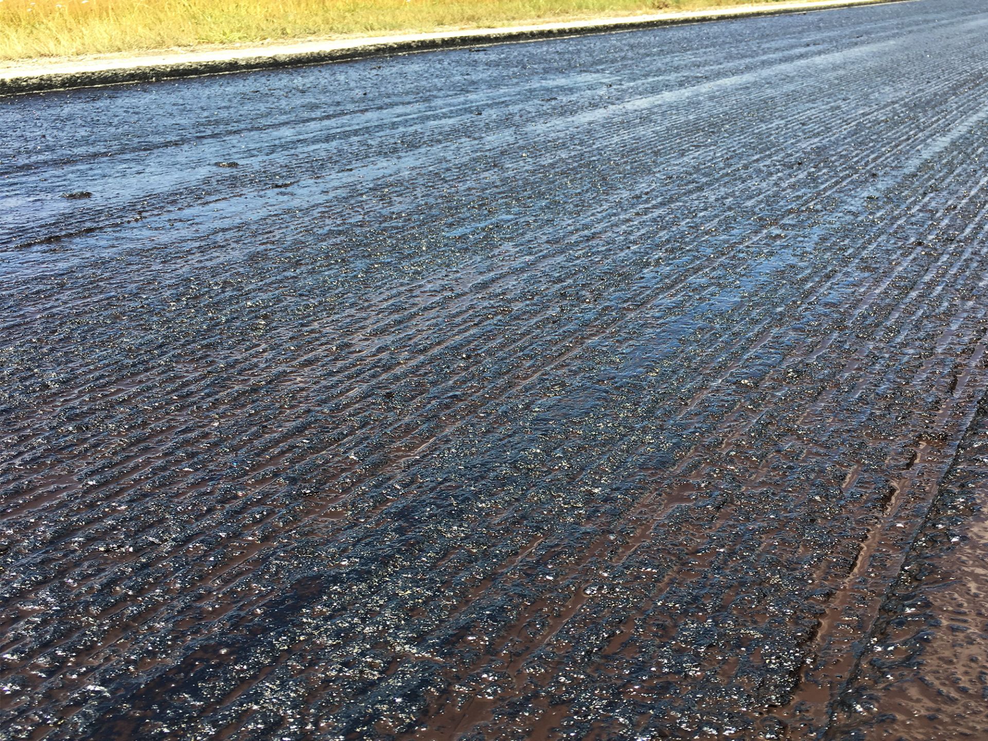 Haftkleberspritze PROFI | Nadler